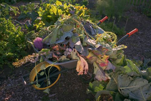 MacGuffin | Collaborations